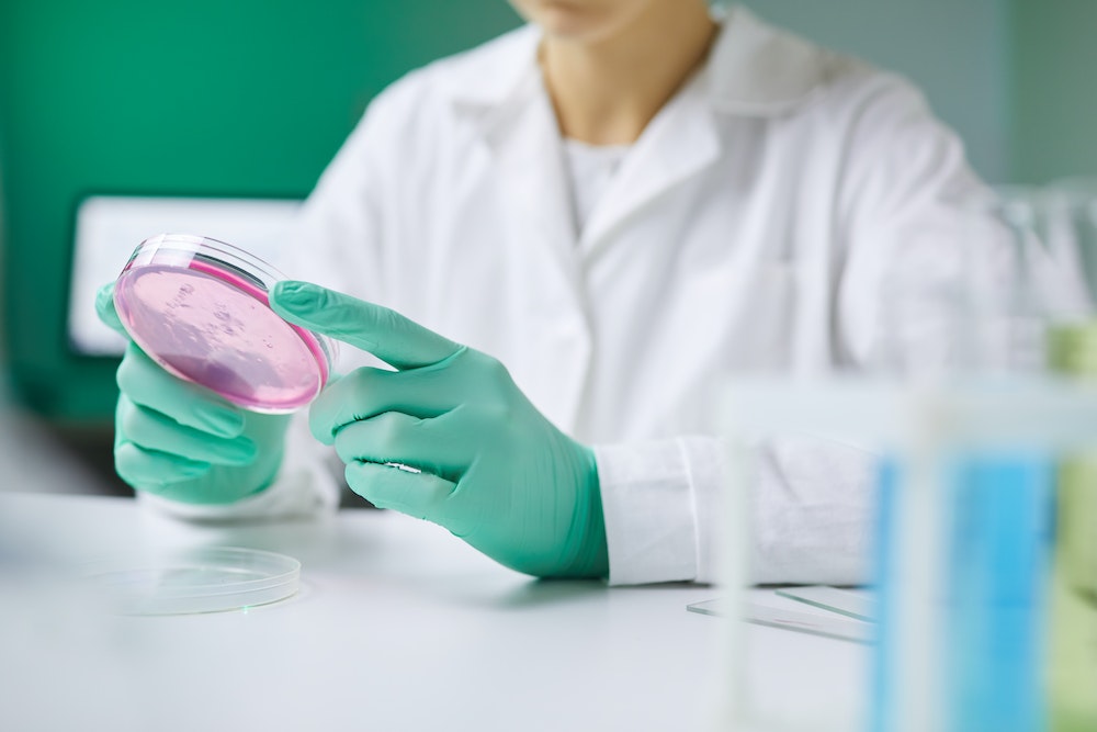 Mythes et Réalités de l'Agriculture Biologique : Démêler le vrai du ... Mythes et Réalités de l'Agriculture Biologique : Démêler le vrai du ...